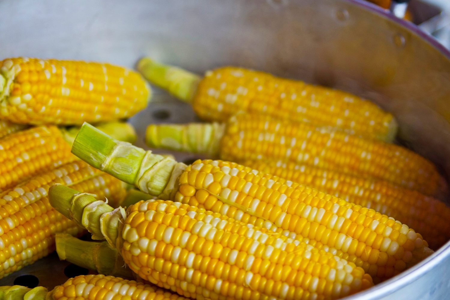 How to Use Corn – Food Smart Colorado