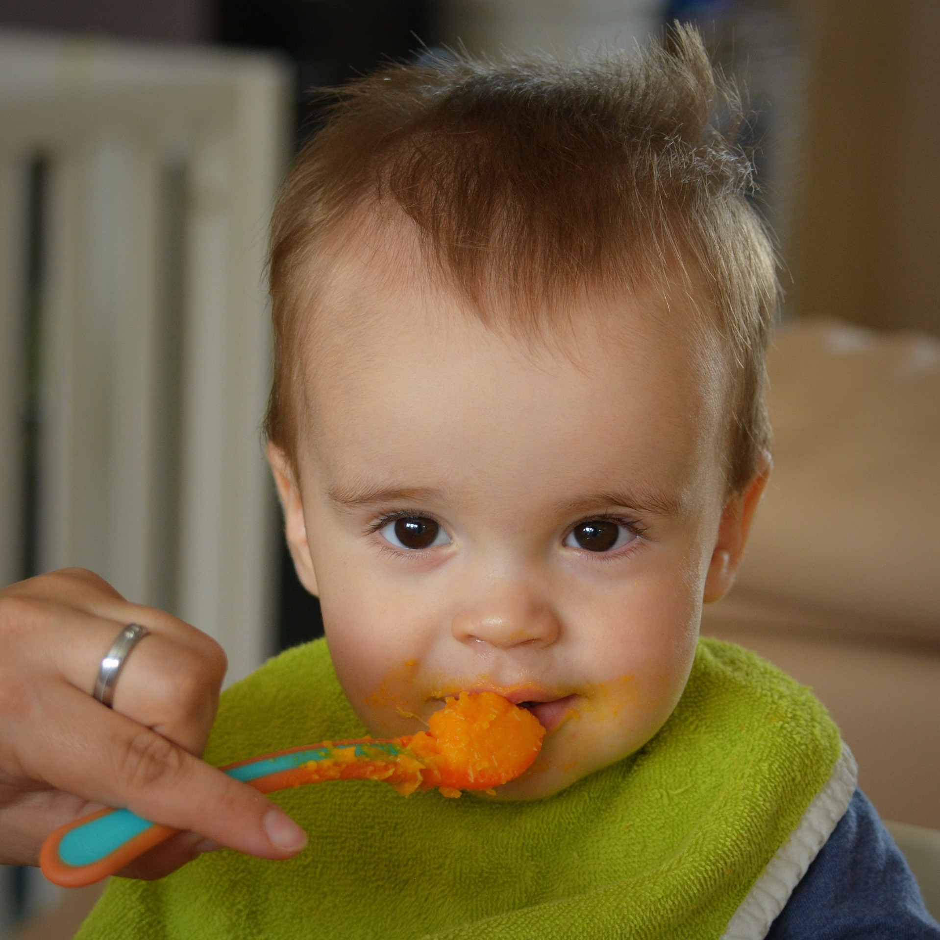 Guidelines for Starting Your Infant on Solid Foods – Food Smart Colorado