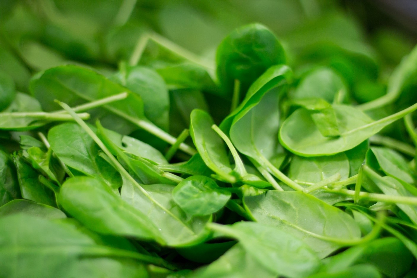 Colorado Grown Produce – Food Smart Colorado