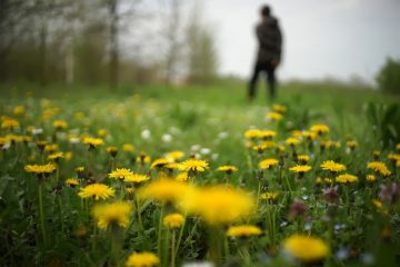 Being Active in the Spring – Food Smart Colorado