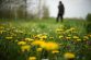 Being Active in the Spring – Food Smart Colorado