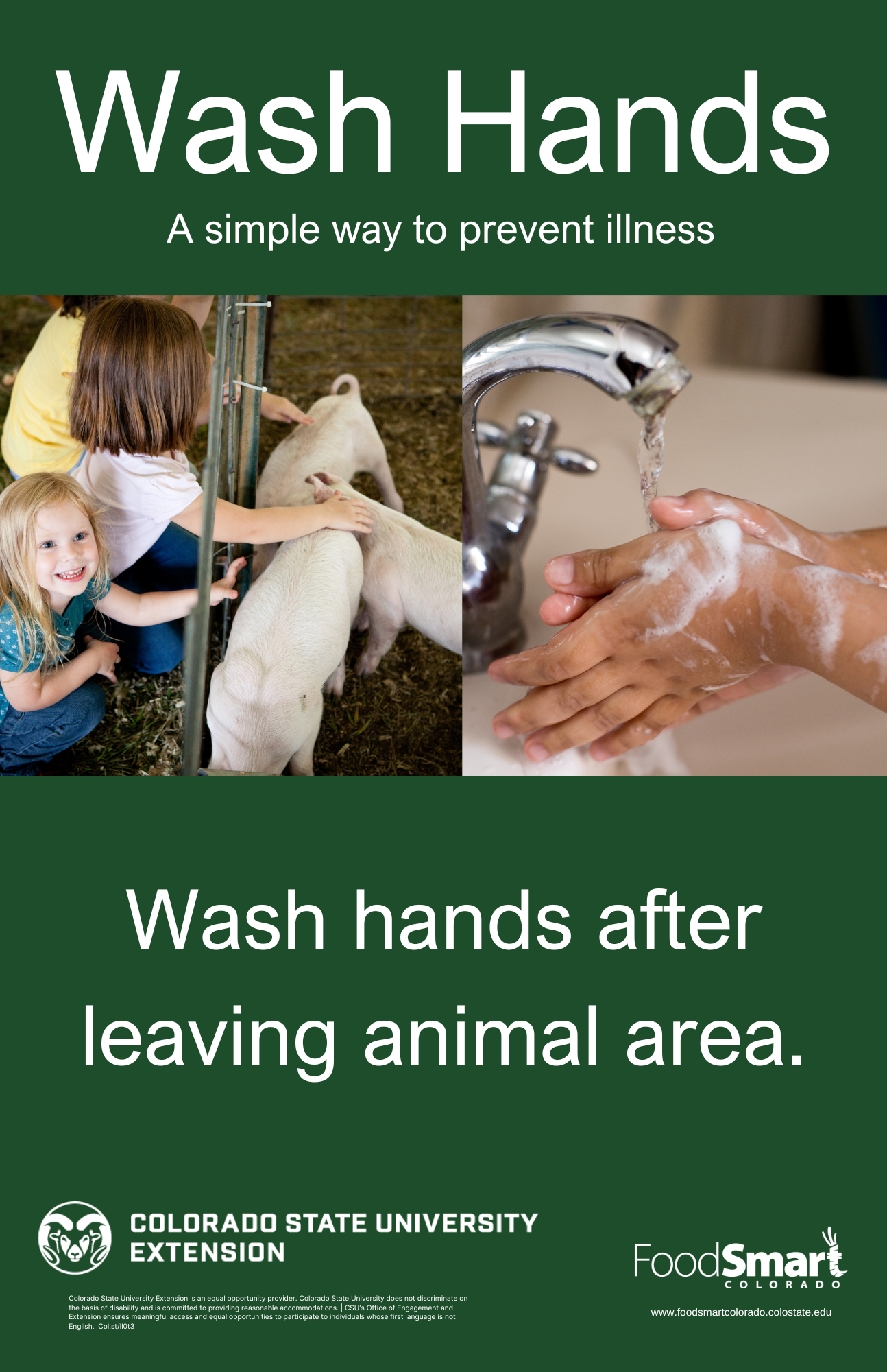 Printable Handwashing Posters – Food Smart Colorado